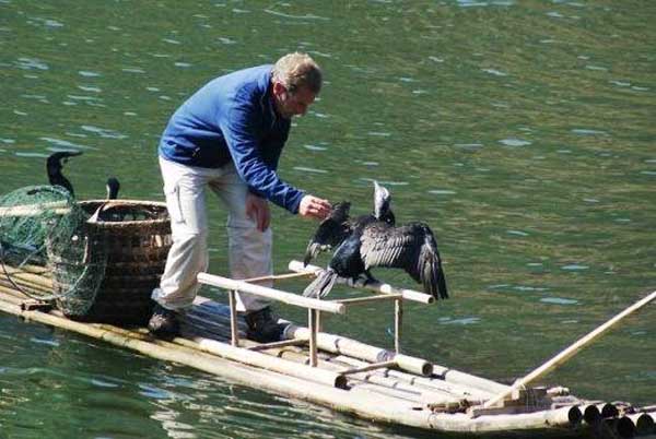 Photo, Image & Picture of Guilin Cormorant Fishing