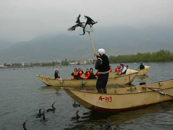 Photos, Images & Pictures of Cormorant Fishing Show, Guilin China Photo ...